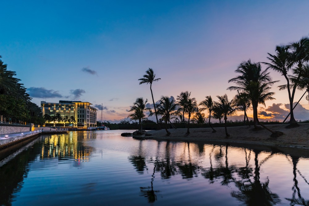 Global Organisation Owned by Kenneth Dart | Dart