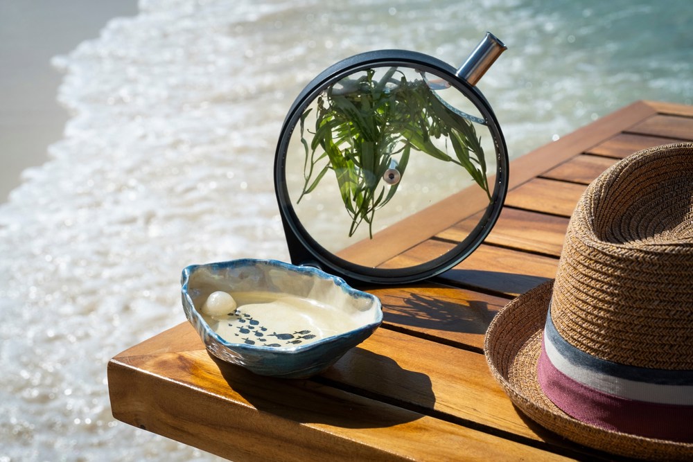 Cayman's newest library bar opens at Kimpton Seafire | Dart